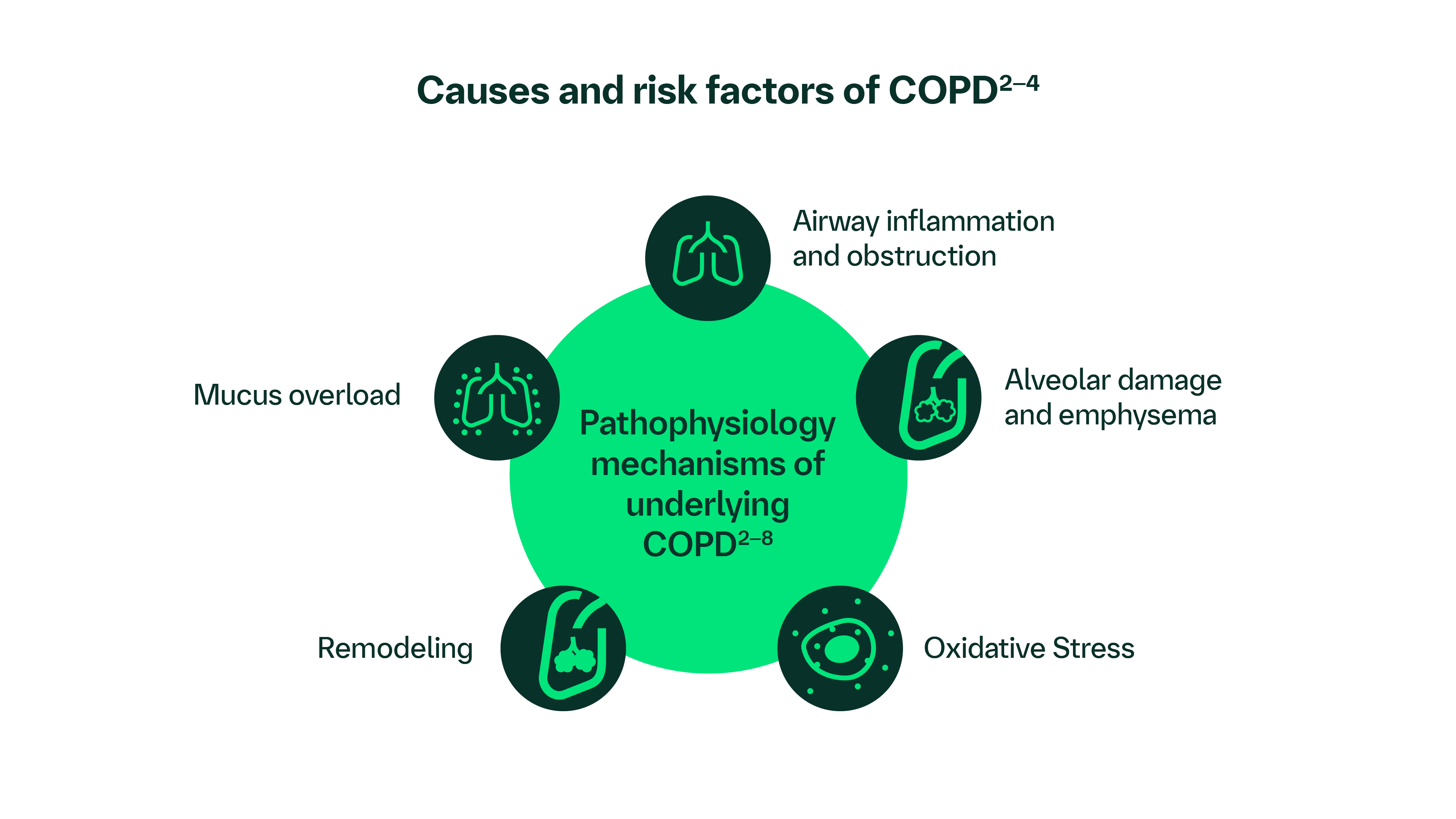 The Science behind Pathophysiology of COPD | BI Respiratory Education