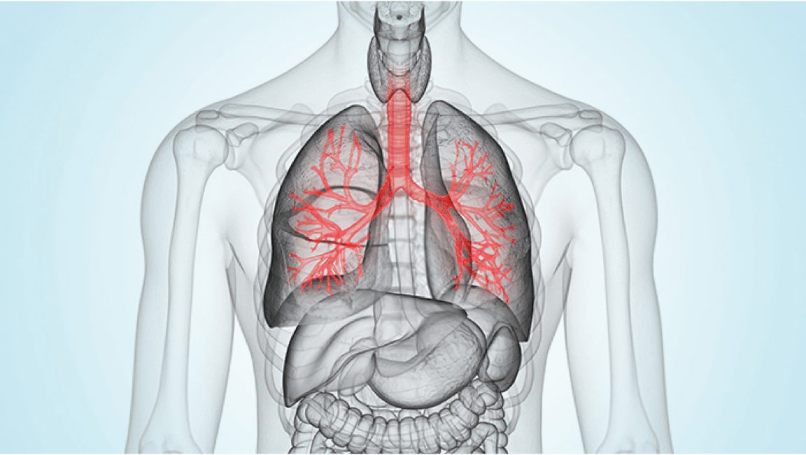 Therapeutic Areas for US based HCPs | Boehringer Ingelheim