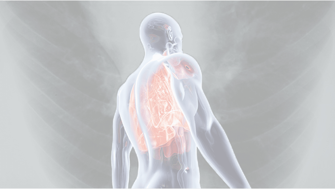 Therapeutic Areas for US based HCPs | Boehringer Ingelheim