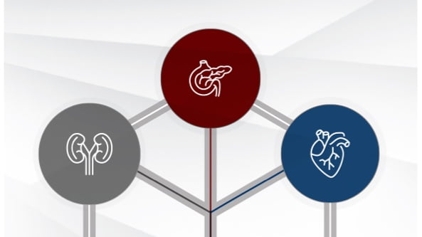 Cardio-Renal-Metabolic conditions impact: explore the data Cardio-Renal-Metabolic conditions impact: explore the data